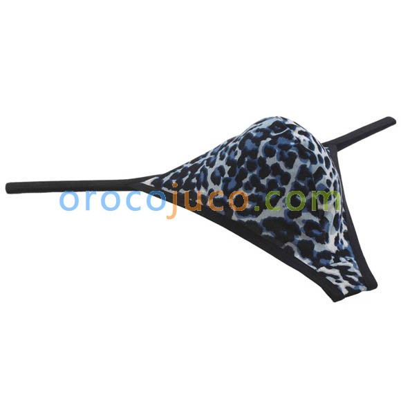 Hommes Kinny Bikini Sous-Vêtements Homme Skimpy Brésilien String Sexy ...
